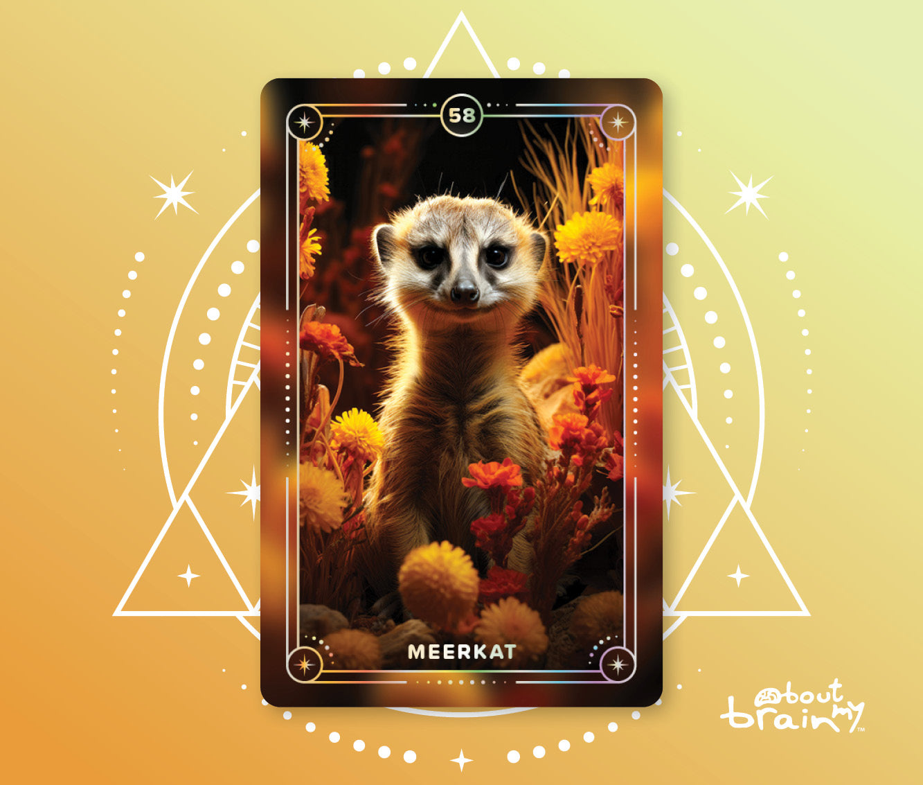Meerkat Spirit Animal – About my Brain Institute