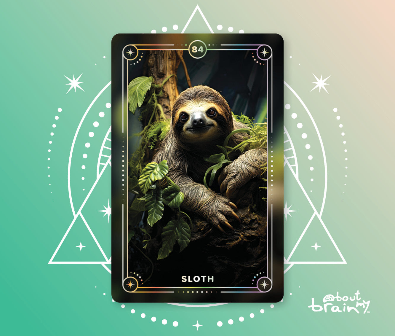 Sloth Spirit Animal – About my Brain Institute
